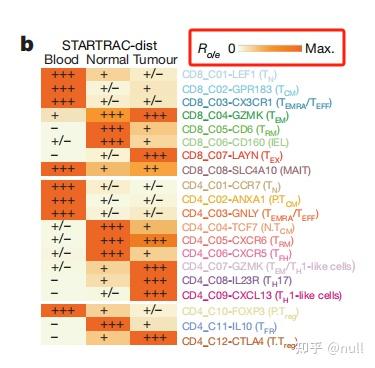 Ro/e和OR | 跟着张泽民院士团队学习单细胞亚群的组织偏好性分析 - 知乎