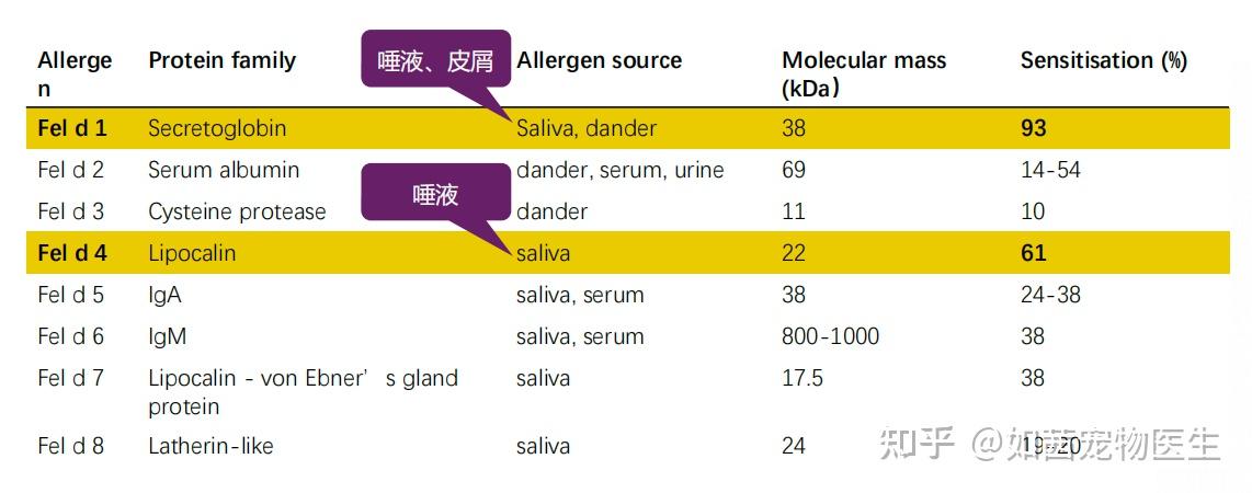猫毛过敏？别瞎折腾了！ - 知乎