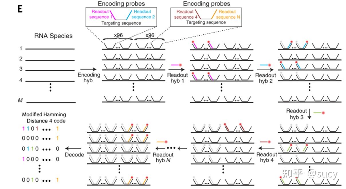 空间转录组 - 知乎
