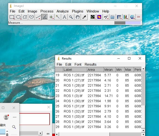 ImageJ 批量分析图片全攻略｜ROS & 免疫荧光双代码模板+避坑指南 - 知乎