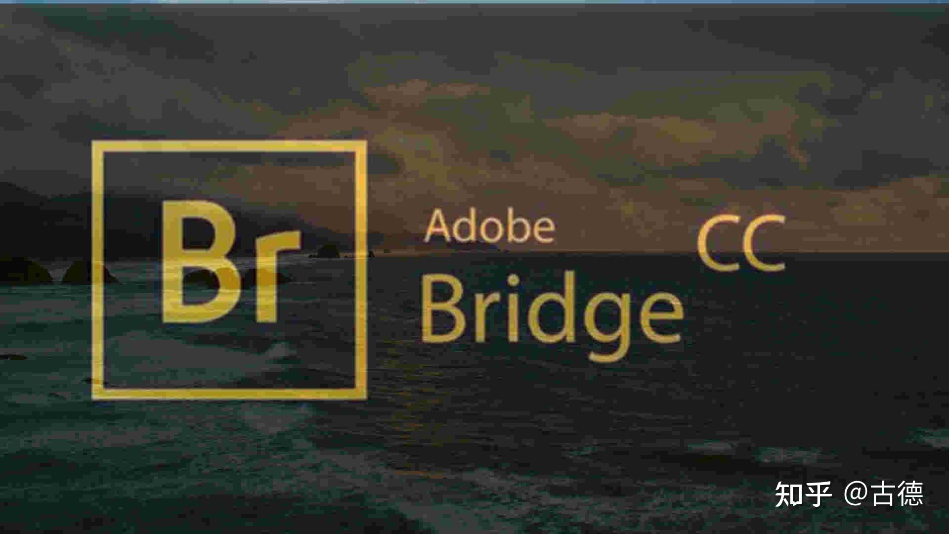 Adobe Bridge BR2025百度云网盘下载与安装教程指南 - 知乎