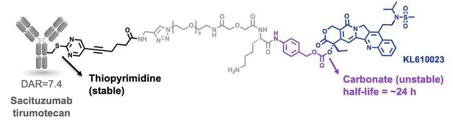Trop2 ADC 荷载总结 - 知乎