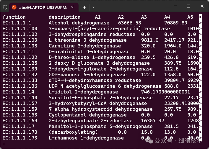 PICRUSt2标准分步分析流程实操 - 知乎