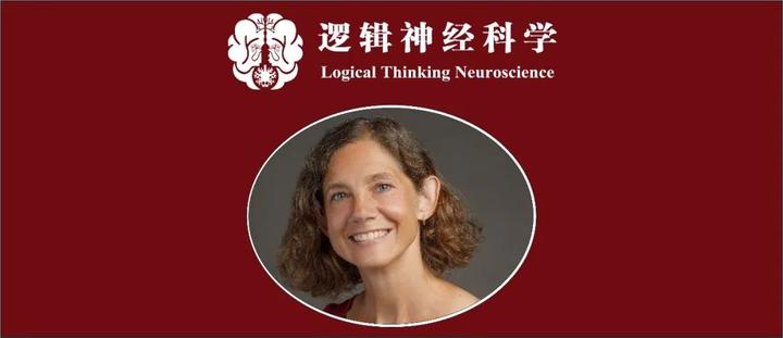 Sci Adv︱耶鲁大学Marina Picciotto团队重新解析大脑对奖赏信息的处理 - 知乎