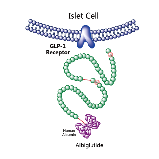 GLP-1药物长效策略集锦 - 知乎