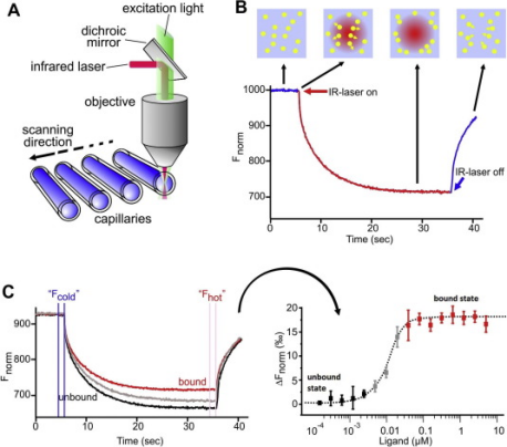微量热涌动技术（MicroScale Thermophoresis，MST） - 知乎