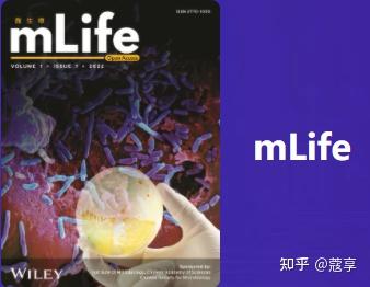 【视频回放】mLife - 知乎