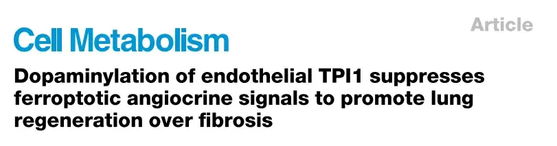 Cell Metab丨TPI1的多巴胺修饰通过抑制铁死亡促进肺再生 - 知乎