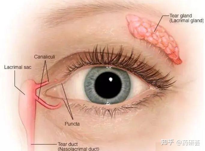 首款RASP抑制剂获FDA批准,用于治疗高启强同款绝症 - 知乎