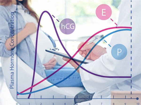 全面解析孕期HCG值的相关知识 - 知乎