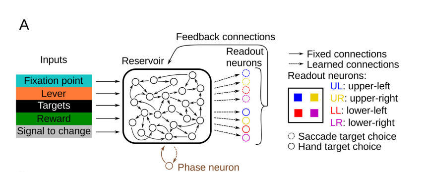 【博士每天一篇文献-实验】Reservoir Computing Properties of Neural Dynamics in Prefrontal Cortex - 知乎