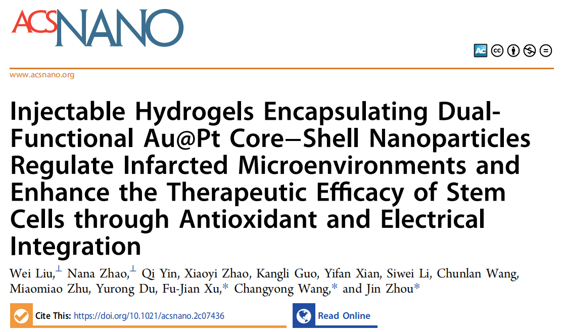 《ACS NANO》: 包裹双功能 Au@Pt 核壳纳米颗粒可注射水凝胶调节梗死微环境,并通过抗氧化和电整合提高干细胞治疗效果 - 知乎