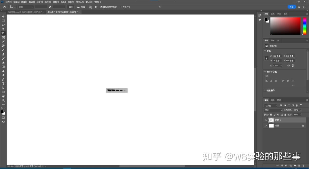 如何用Photoshop处理WB图 - 知乎