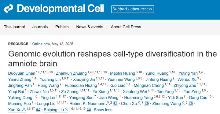 Dev. Cell | Stereo-seq助力构建羊膜类跨物种单细胞图谱，解密3.2亿年大脑演化之谜 - 知乎