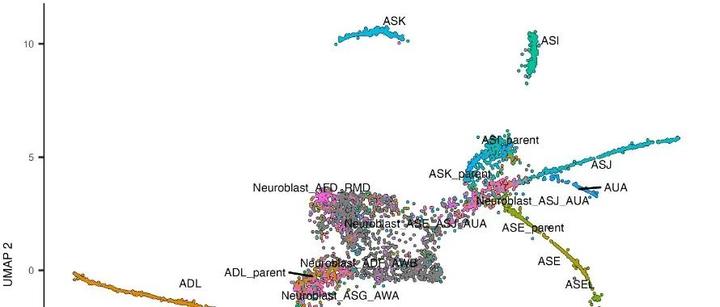 SCS【9】单细胞转录组之构建细胞轨迹 (Monocle 3) - 知乎