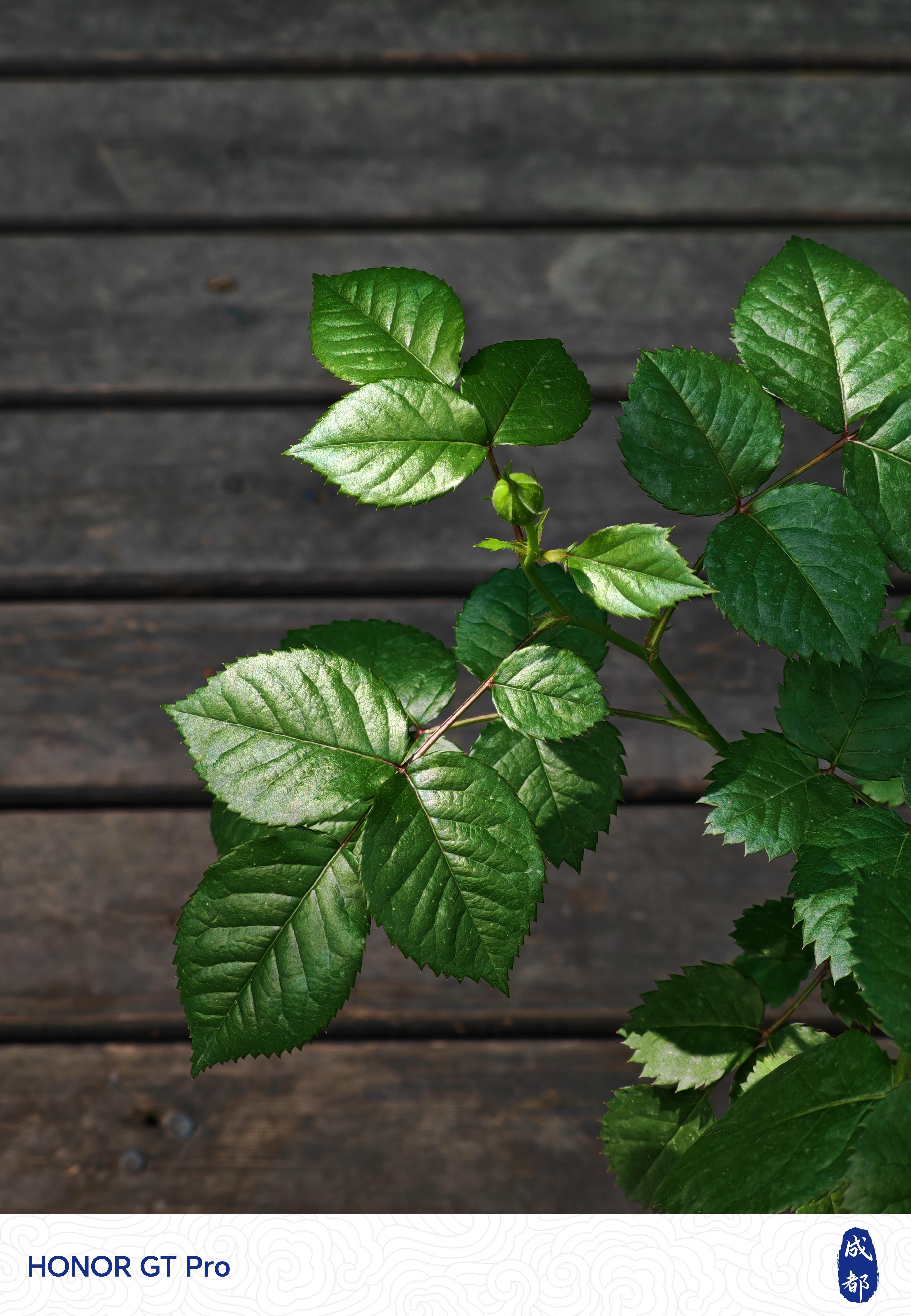 如何看待荣耀 GT Pro 价格 3699 元起？对友商会有什么影响？ - 知乎