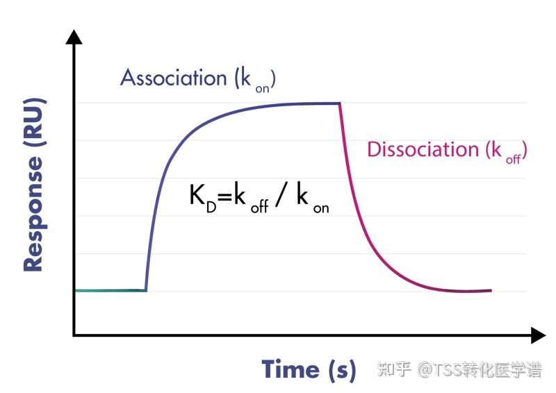 常用ITC、SPR、ELISA等方法如何检测受体和配体分子间相互作用Kd - 知乎