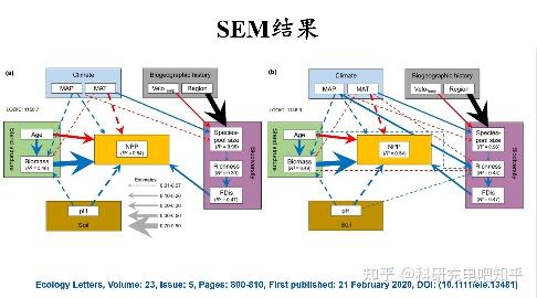 【结构方程模型】R基础、SEM原理、lavaan/piecewiseSEM双路径、潜变量/复合变量、局域/全局估计、贝叶斯SEM等 - 知乎