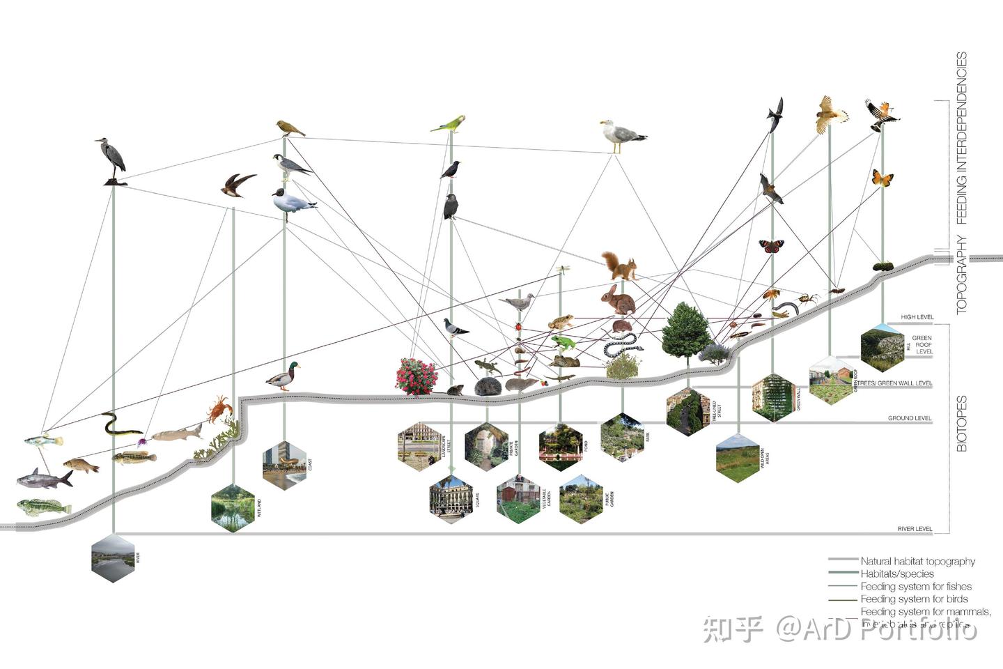 BIODIVER-CITY | 生物多样性城市 - 知乎