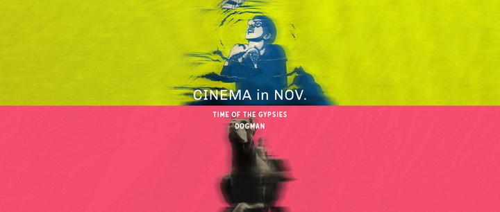 十一月电影岛：吉普赛时代11/10 狗神11/24 - 知乎