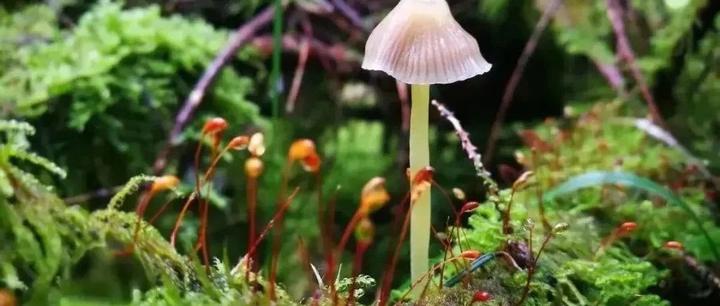 C# WPF TreeView用法实例解析 - 知乎