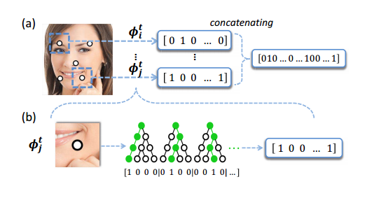 Face Alignment 总结（长期更新） - 知乎