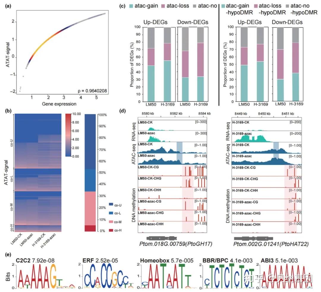 New Phytol详解 | 多组学揭示表观遗传学调控杨树生长发育新机制 - 知乎