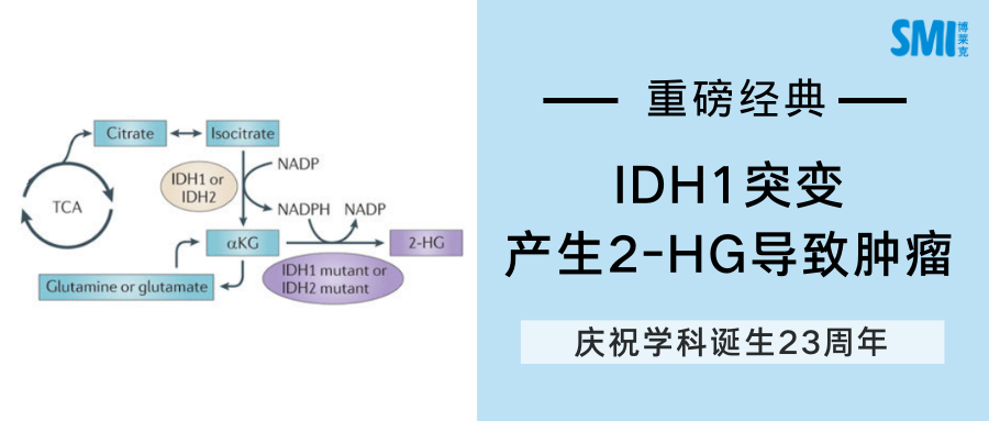 经典重读丨Nature肿瘤中IDH1突变和2-HG - 知乎