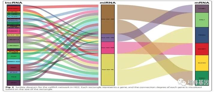 FigDraw 13. SCI 文章绘图之桑葚图及文章复现（Sankey） - 知乎