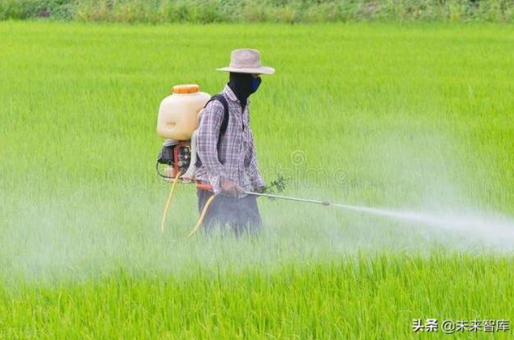 农药行业研究报告：粮食安全备受各国重视，全球农药需求有望提升 - 知乎