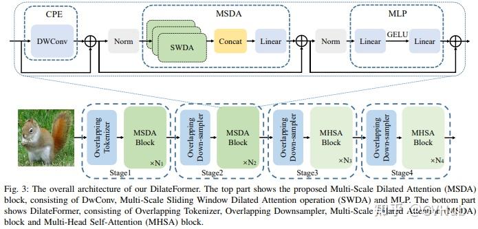 中科院一区顶刊 | DilateFormer: 即插即用的多尺度全局注意力机制(附源码实现) - 知乎