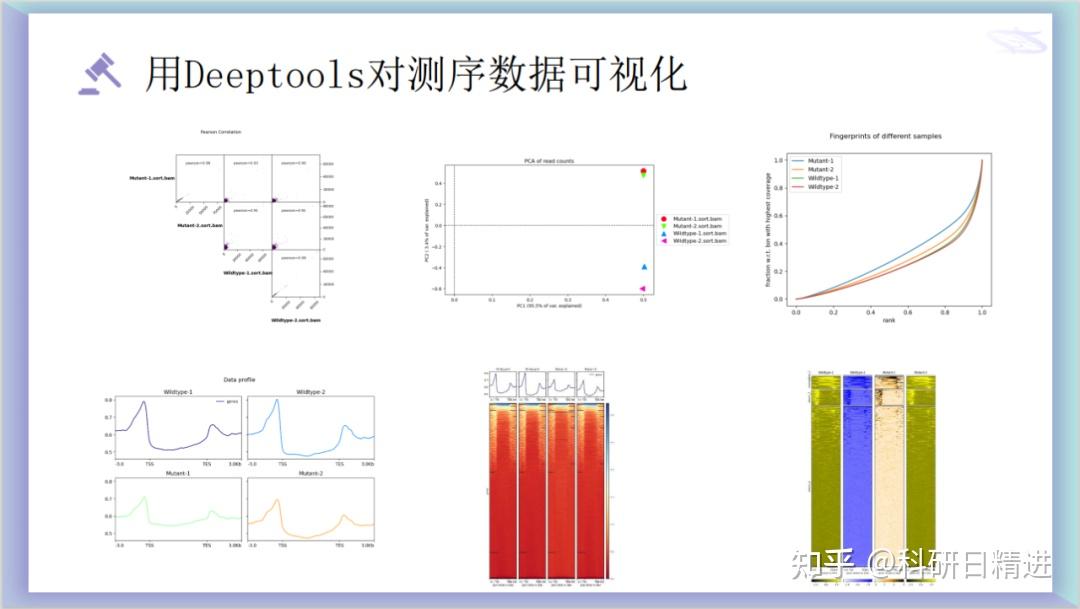 用Deeptools对测序数据可视化 - 知乎