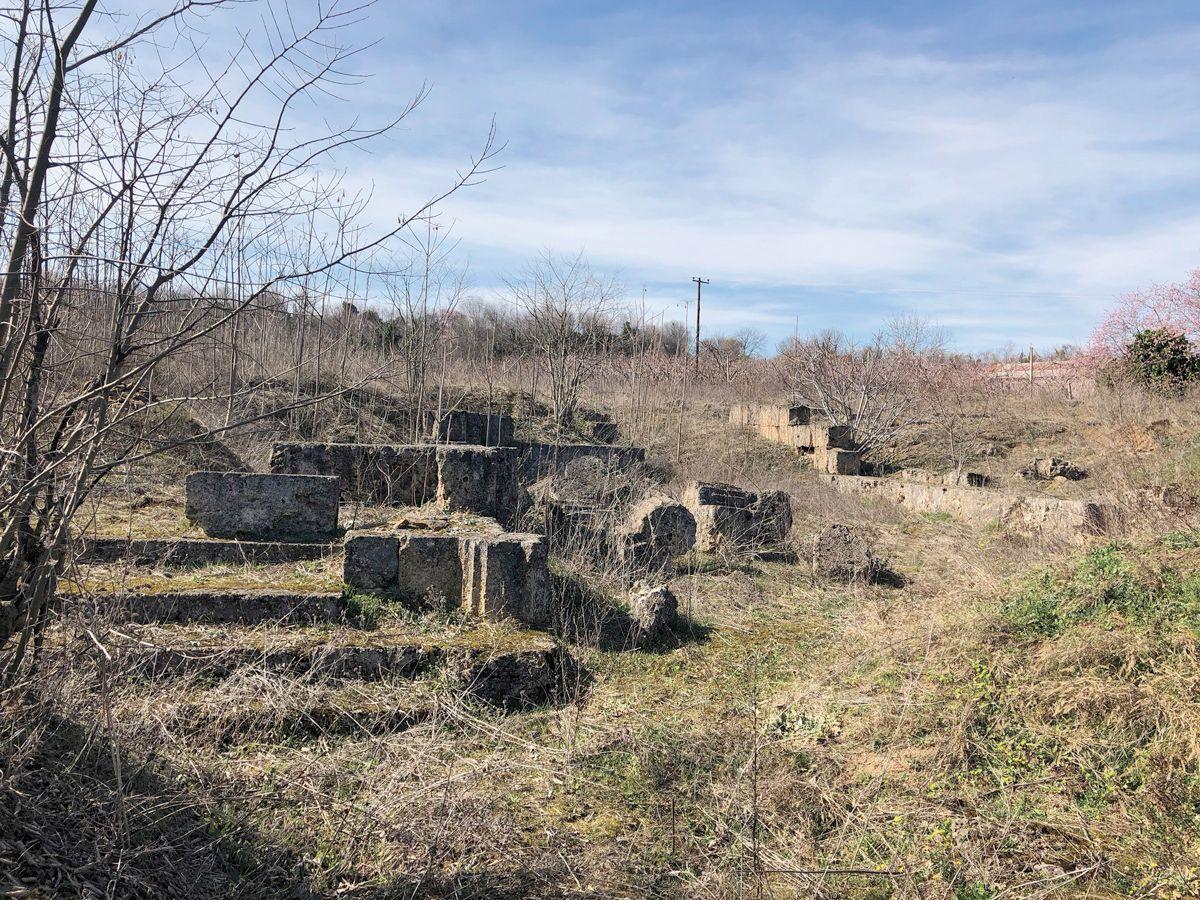 亚历山大大帝不为人知的故事 - 知乎