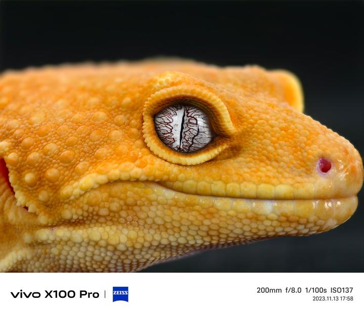 vivo X100 Pro影像配置深度解读 - 知乎