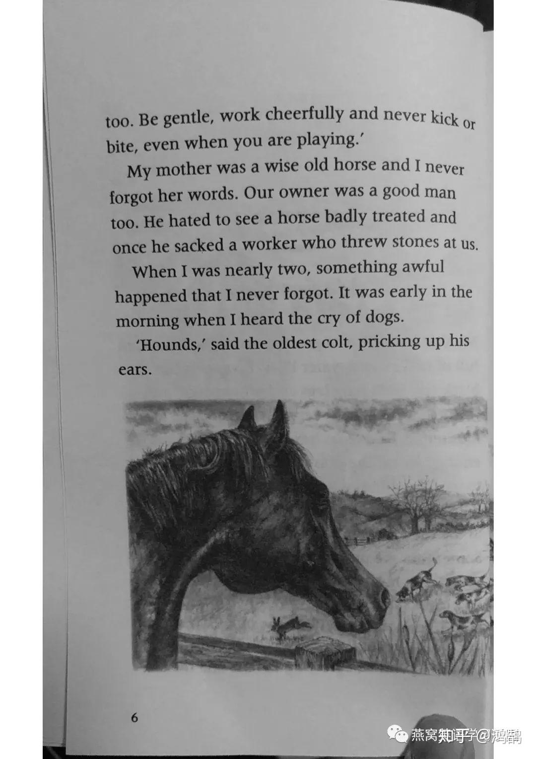 典范英语阅读Black Beauty阅读笔记Chapter 1 My First Home - 知乎