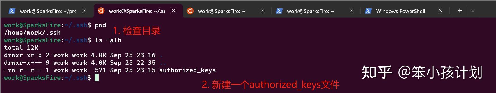 Windows11 WSL配置VsCode Remote开发环境 - 知乎