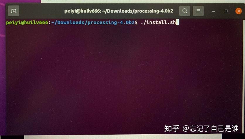 Processing0基础入门教程-下载与安装与主界面简介 - 知乎