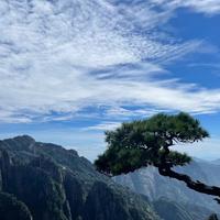 西门子FB284 基本定控制常问问题解答 - 知乎