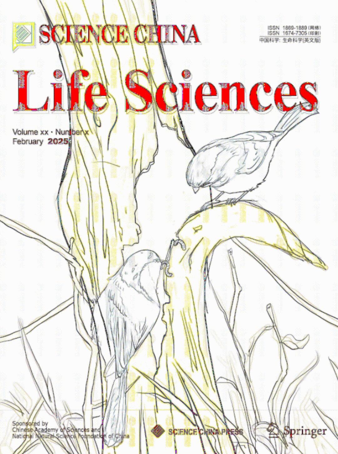 《Science China Life Sciences》封面设计全过程分享 | Vol.68 No.3 - 知乎