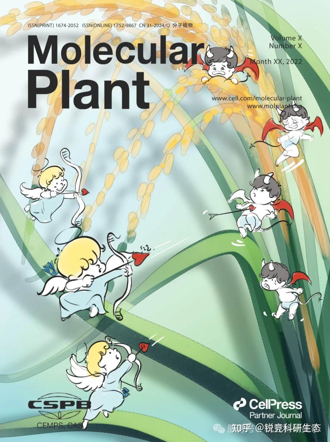 《Molecular Plant》封面设计全过程分享 | Vol.18 No.1 - 知乎