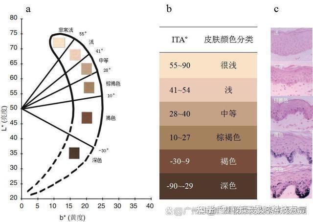 三恩时ITA°肤色测色仪，可测量皮肤色度 - 知乎