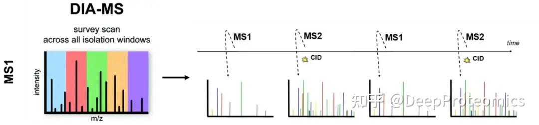 蛋白质组学基础 | DDA、DIA傻傻分不清？读这一篇就够了！ - 知乎