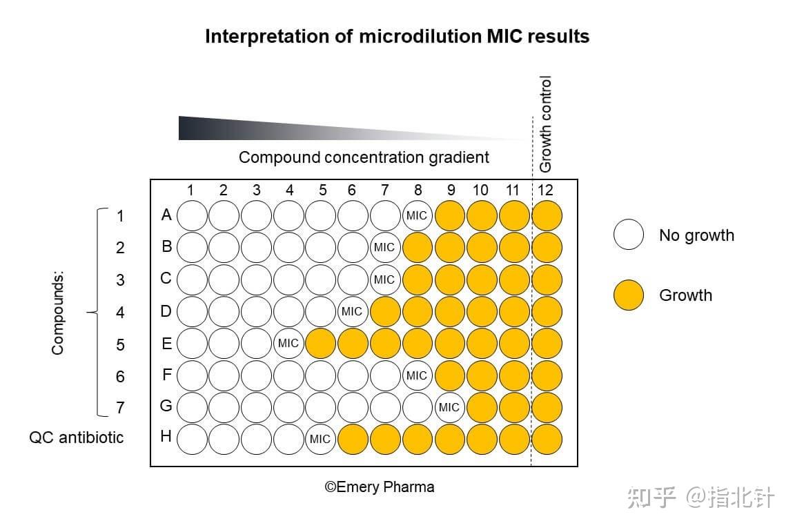 抑菌试验——微量二倍稀释法对MIC及MBC的测定 - 知乎