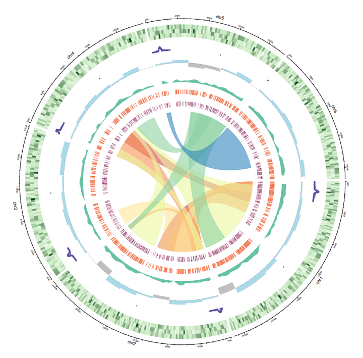 如何绘制基因组类型Circos图？ | OmicStudio - 知乎