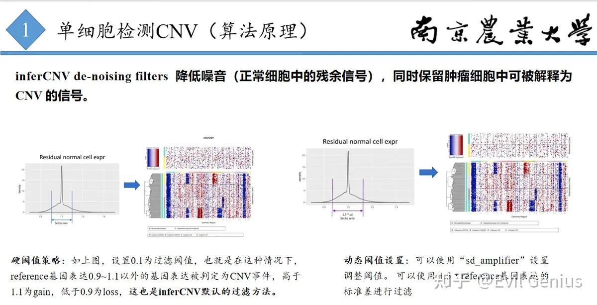 CNV检测--单细胞空间vs基因组WGS/WES - 知乎
