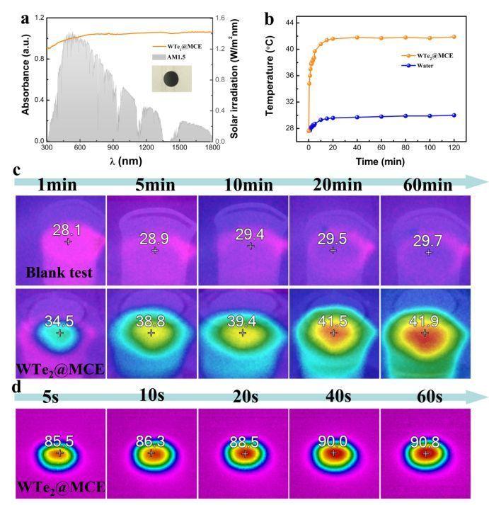 DFT+实验：二维Weyl半金属WTe2自增强光热转换用于高效水蒸发 - 知乎