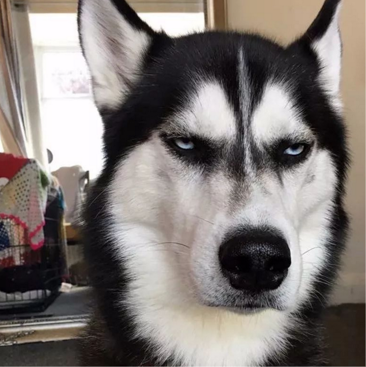 Require.js 解读 - 知乎