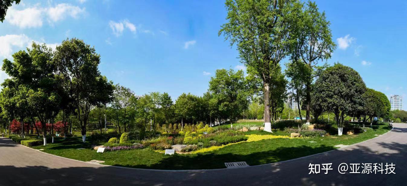 重庆首个海绵城市雨水花园示范基地建成开放 - 知乎