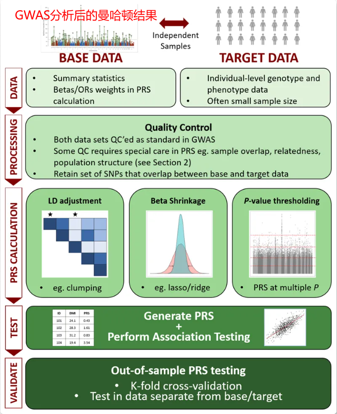 多基因平分（PRS）与全基因组关联分析（GWAS）有什么关系？ - 知乎