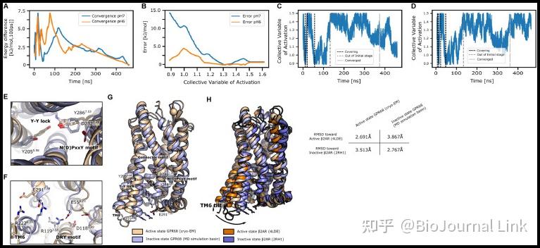 分子生物 | Cell | 质子感应的G蛋白偶联受体的分子基础 - 知乎